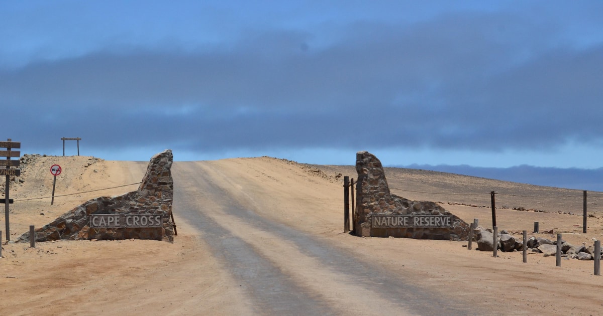 Cape Cross and Henties Bay Guided Tour SkeletonCoast Namibia | GetYourGuide