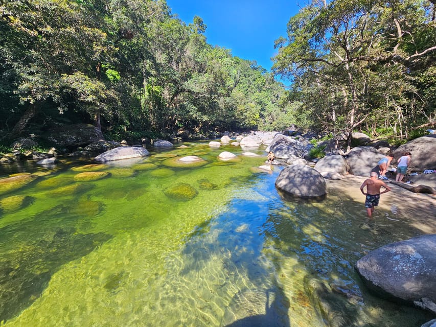 3A Daintree Rainforest, Mossman Gorge & Crocodile Cruise | GetYourGuide
