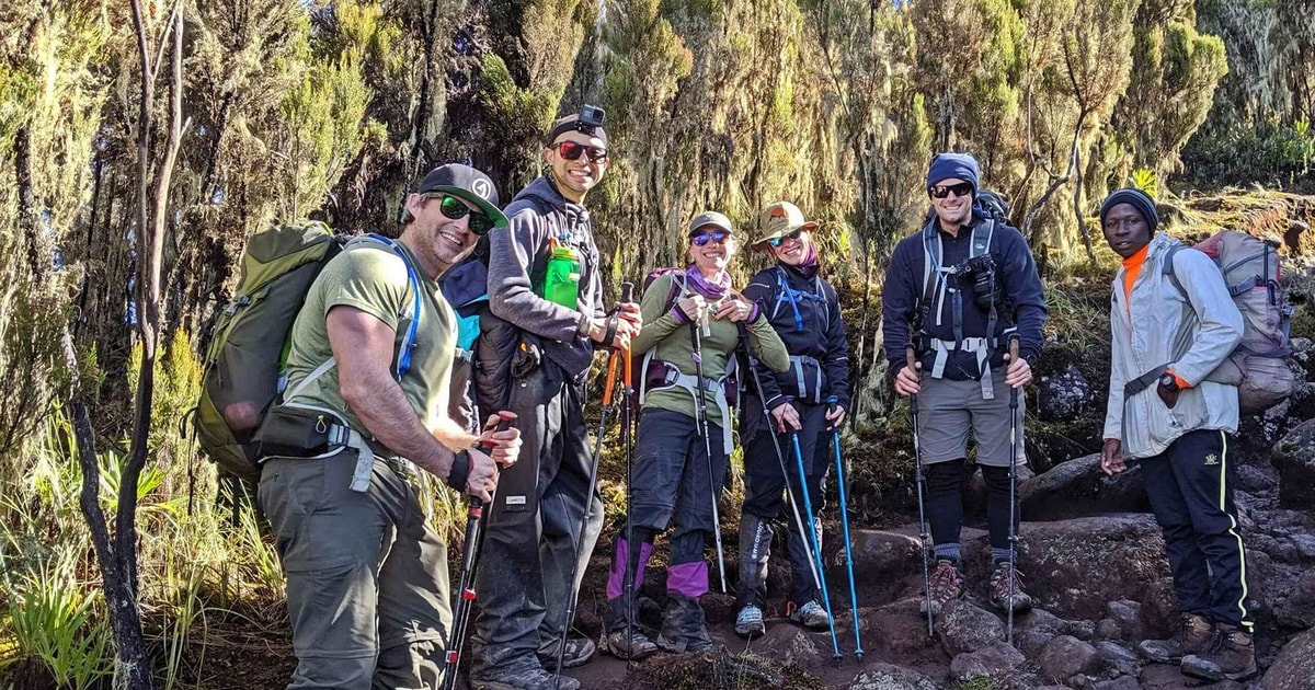 Kilimanjaro Machame Day Hikes | GetYourGuide