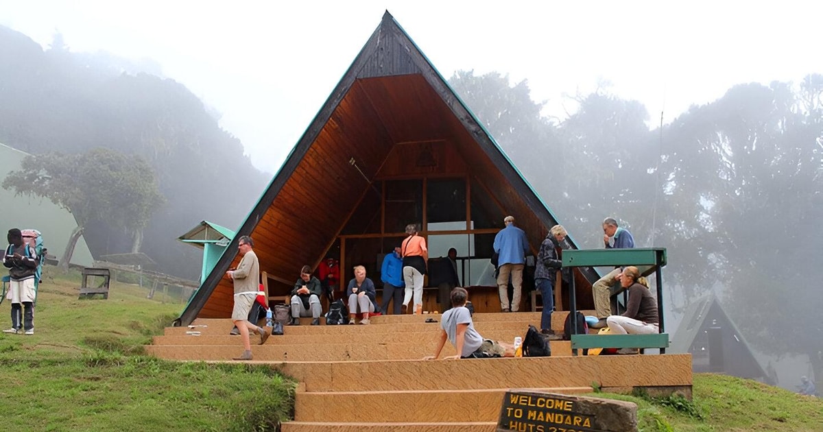 Mount Kilimanjaro Private Wanderung zu den Mandara Hütten | GetYourGuide