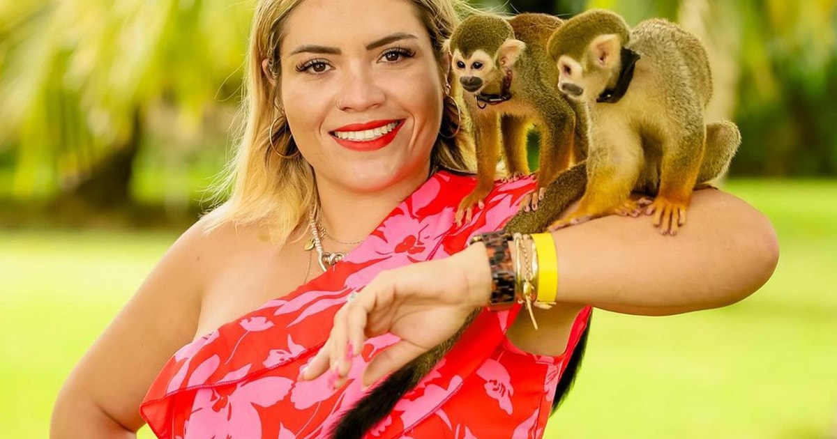 Punta Cana: Excursión Privada a las Casas de los Monos | GetYourGuide