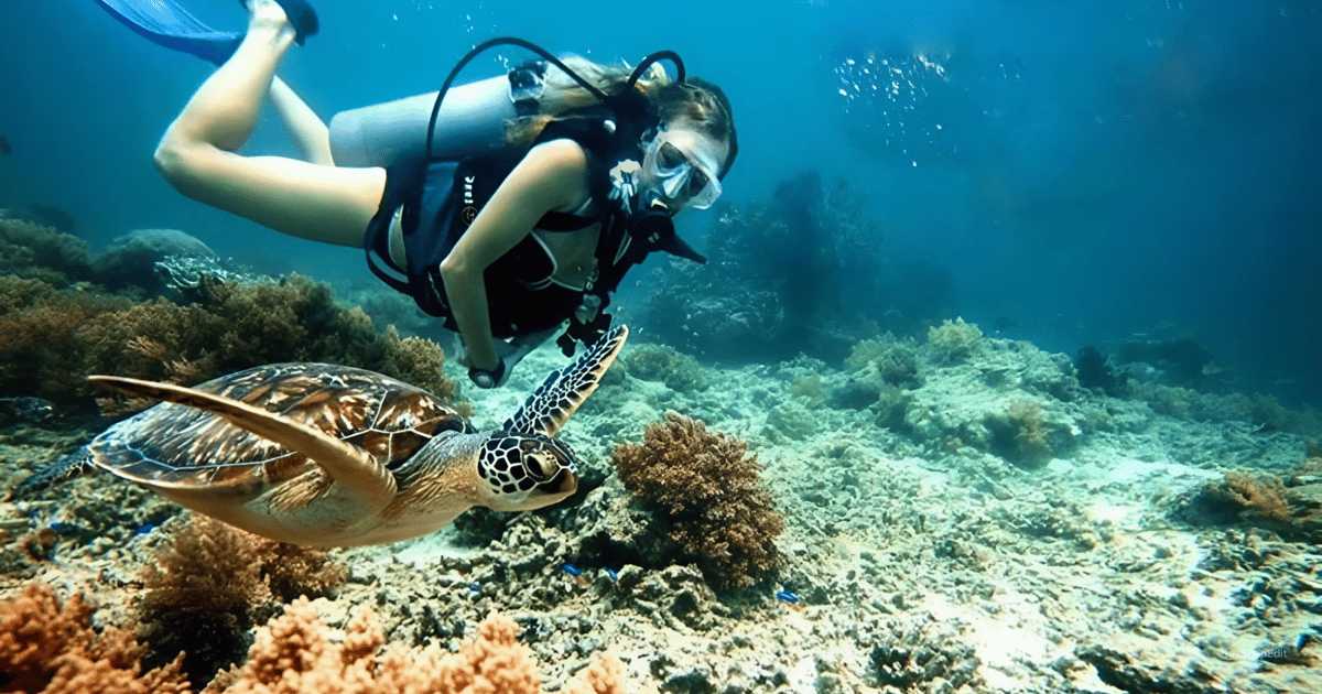 Visit Cham Islands & Snorkelling & Scuba Diving | GetYourGuide
