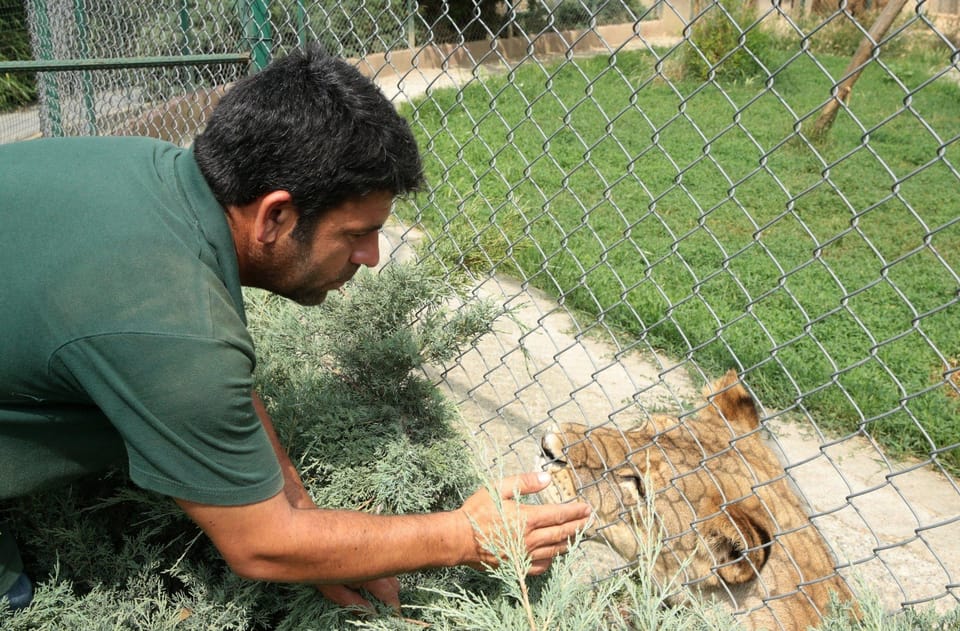 From Istanbul: Guided Day Trip to Sapanca and Masukiye | GetYourGuide