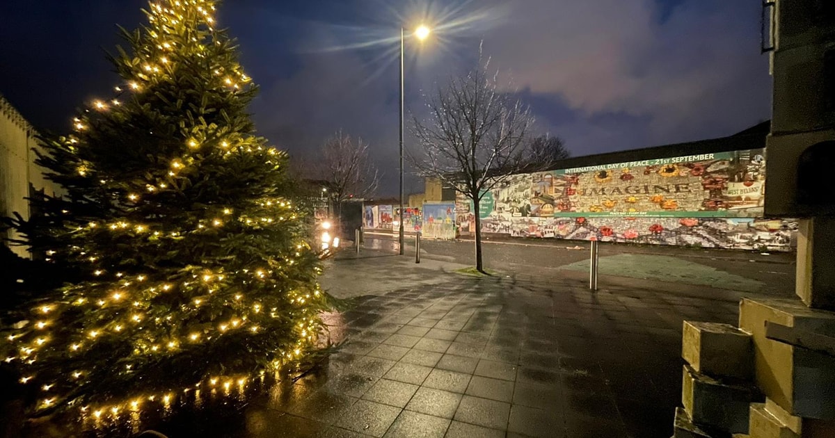 Belfast: Recorrido por el Muro de la Paz y el Mural | GetYourGuide