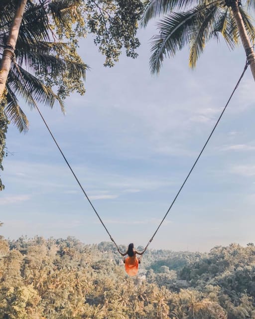 Best of Ubud Waterfalls, Rice Terraces & Jungle Swing Tour | GetYourGuide