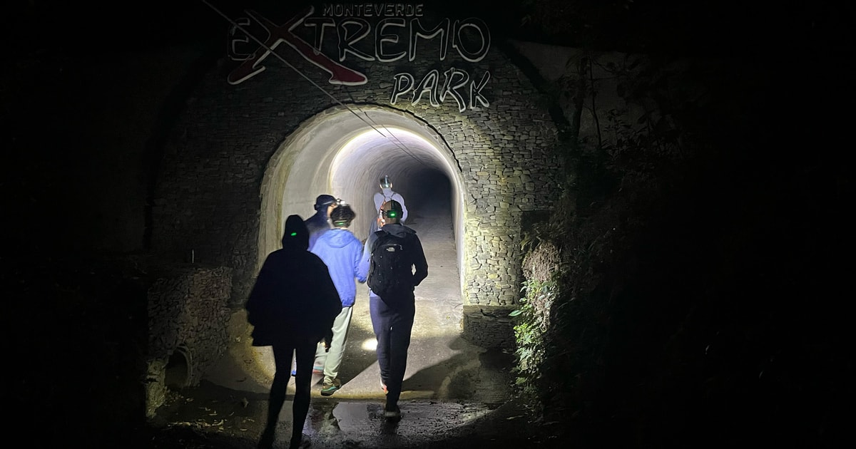 Monteverde: Zipline & Jungle Night Walk | GetYourGuide