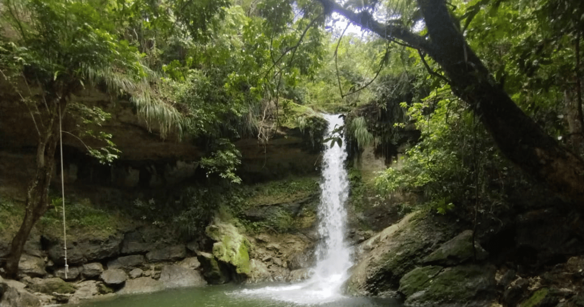 Puerto Rico: Gozalandia River Hiking and Waterfall Tour | GetYourGuide