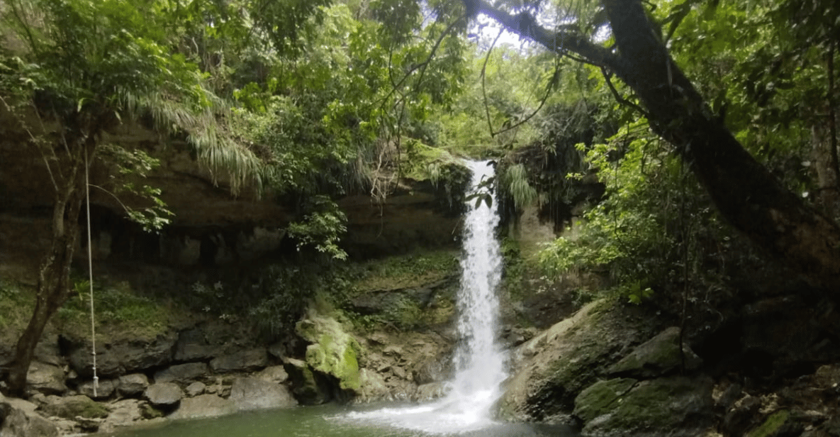 Puerto Rico: Gozalandia River Hiking and Waterfall Tour | GetYourGuide