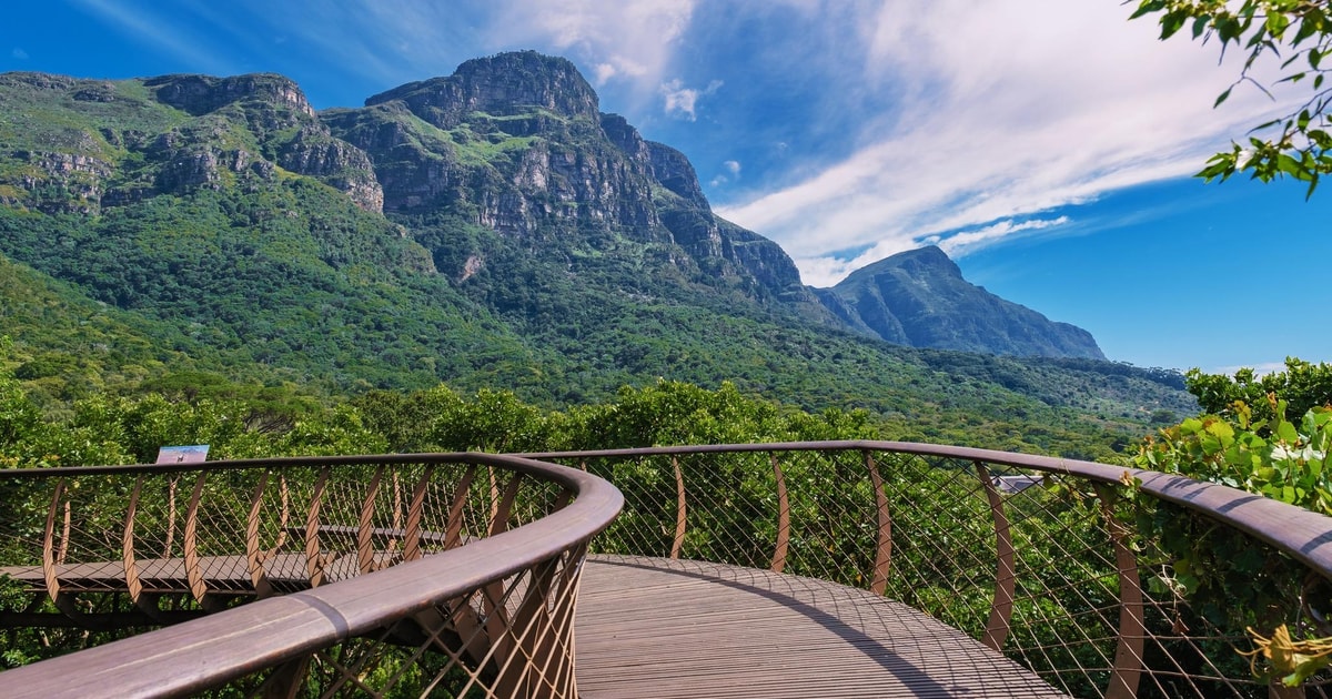 Kapstaden: Taffelberget, rundtur i Kirstenbosch botaniska trädgård ...