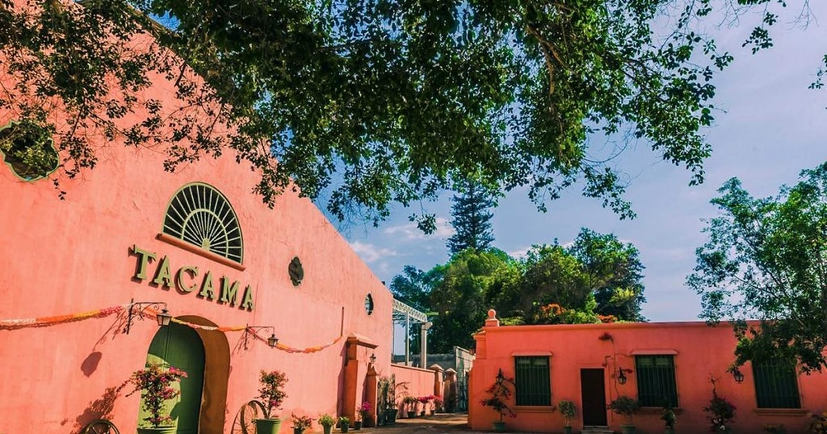 Private Excursion to Huacachina and Hacienda Tacama from Lima ...
