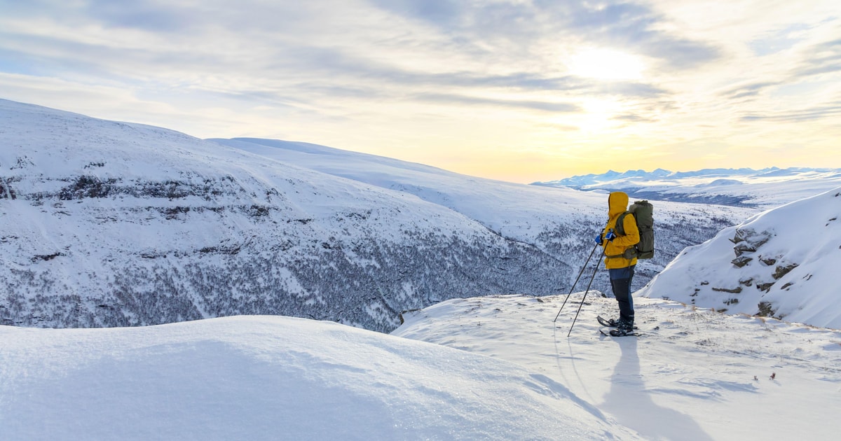 Tromsø: Arctische bezienswaardigheden en sneeuwschoenwandelen met picknick | GetYourGuide