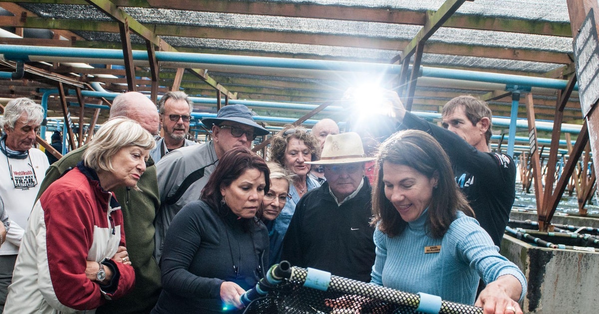 Hermanus guided abalone farm tour & tasting | GetYourGuide