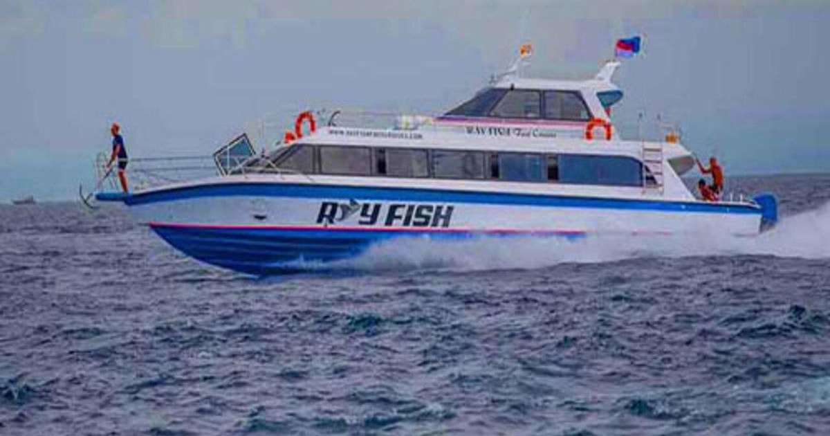 Быстрый круиз из Санура на Нуса-Пениду от Ray Fish Fast Cruise ...