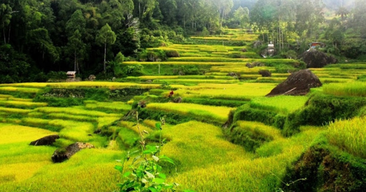 Tana Toraja: Verken traditionele dorpen en de schoonheid van de natuur ...