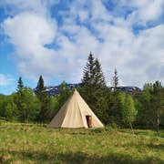 Norway: Experience nature through Sámi eyes | GetYourGuide