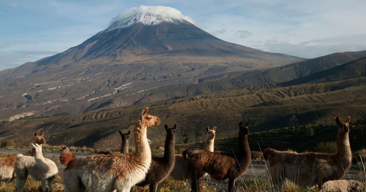 Incredible Misti: ekscytująca dwudniowa przygoda w Arequipie | GetYourGuide