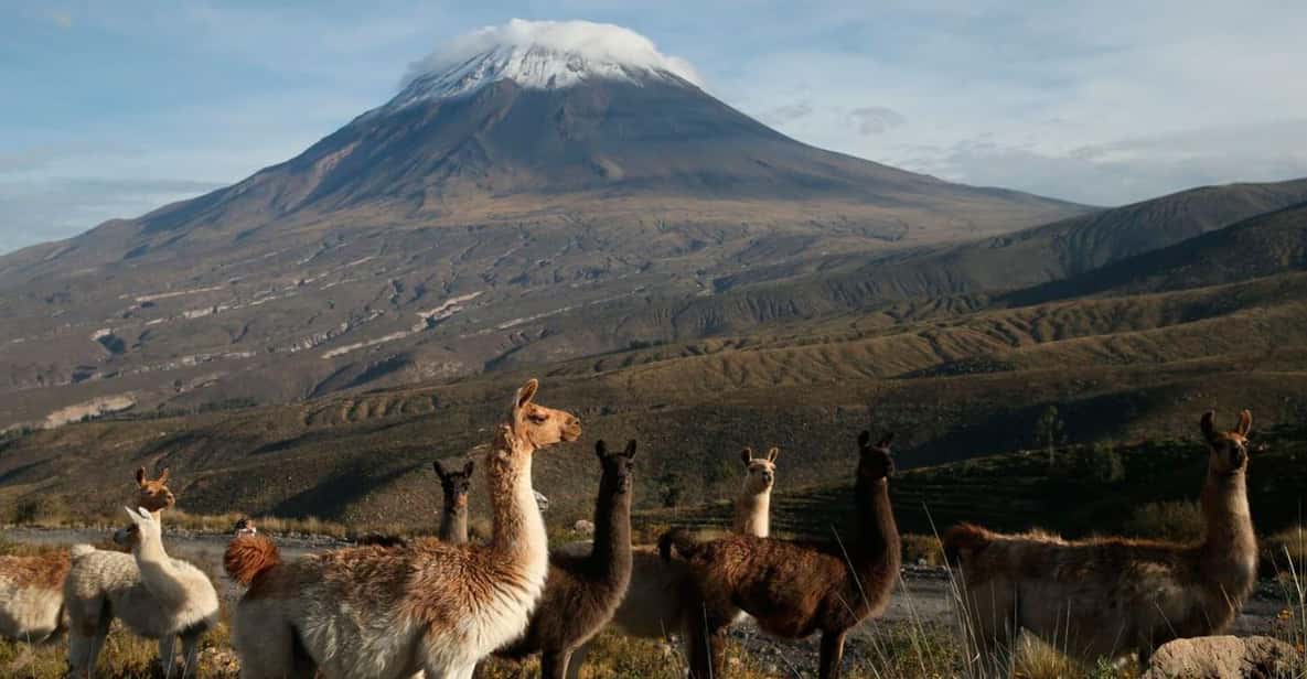 Fra Arequipa: 2-dages camping- og vandretur på Misti-vulkanen ...