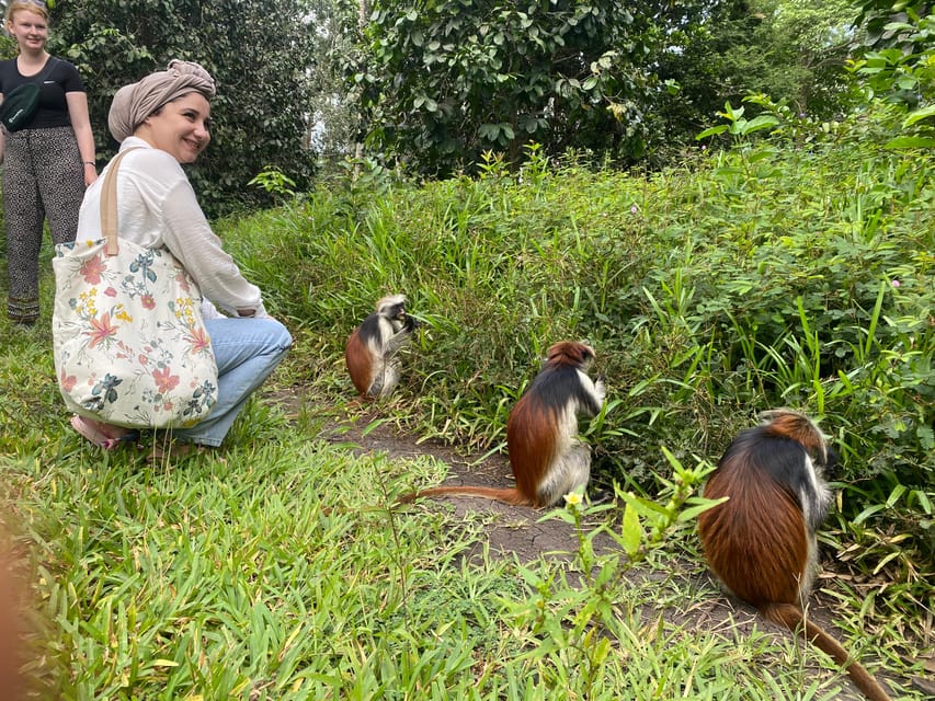 Zanzibar: Jozani Forest and Maalum Natural Swimming pool | GetYourGuide