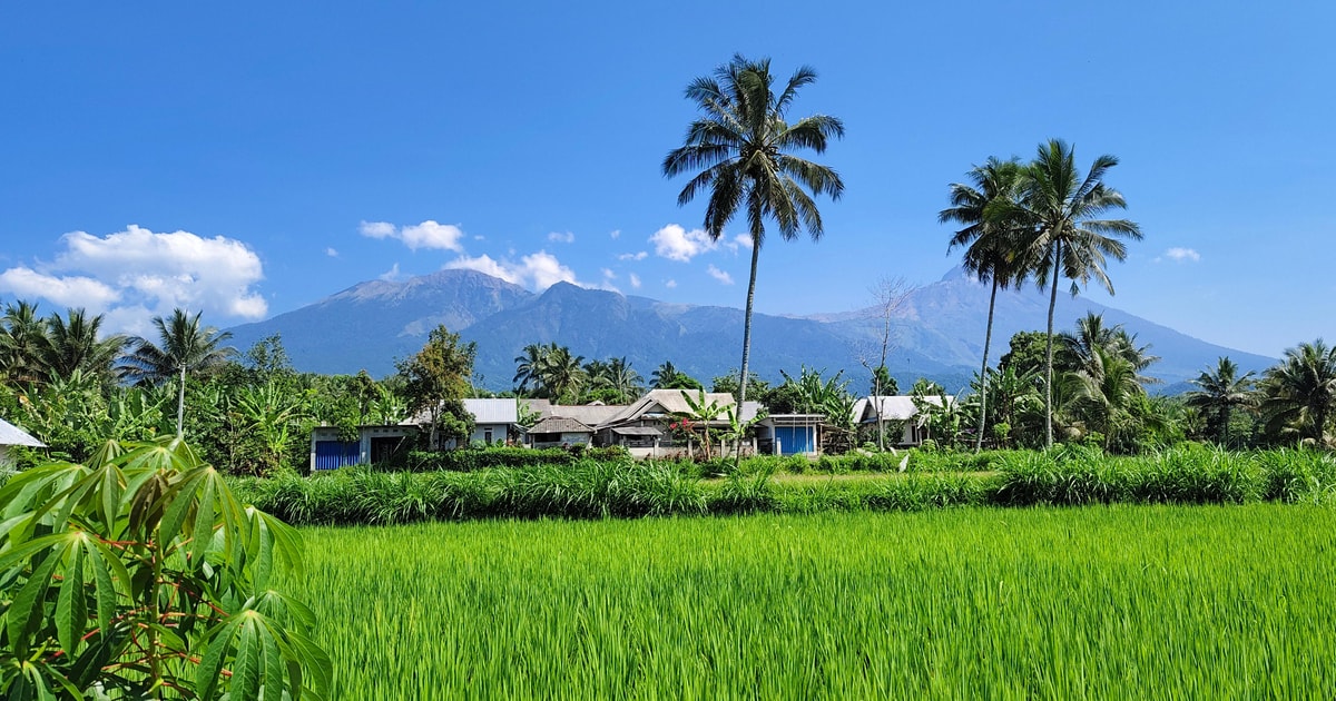 lombok: siyah maymun, pirinç tarlası, tetebatu şelalesi | GetYourGuide