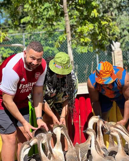 D Boss Farm, Bamboo Rafting and Limestone Foot Massage Tour | GetYourGuide