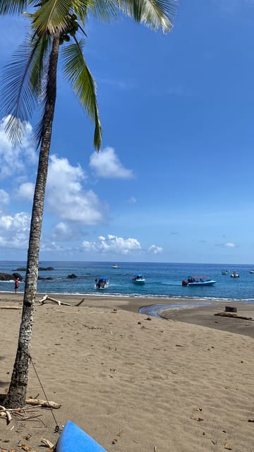 Caño Island - Snorkeling | GetYourGuide