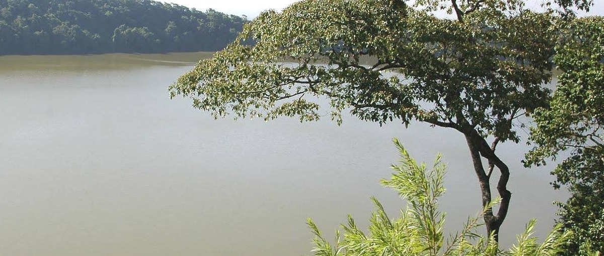 Lake Duluti Day Tour | GetYourGuide