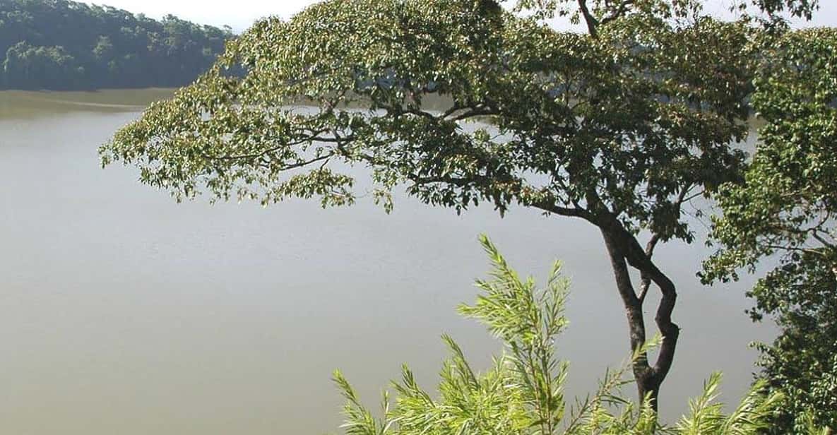 Lake Duluti Day Tour | GetYourGuide