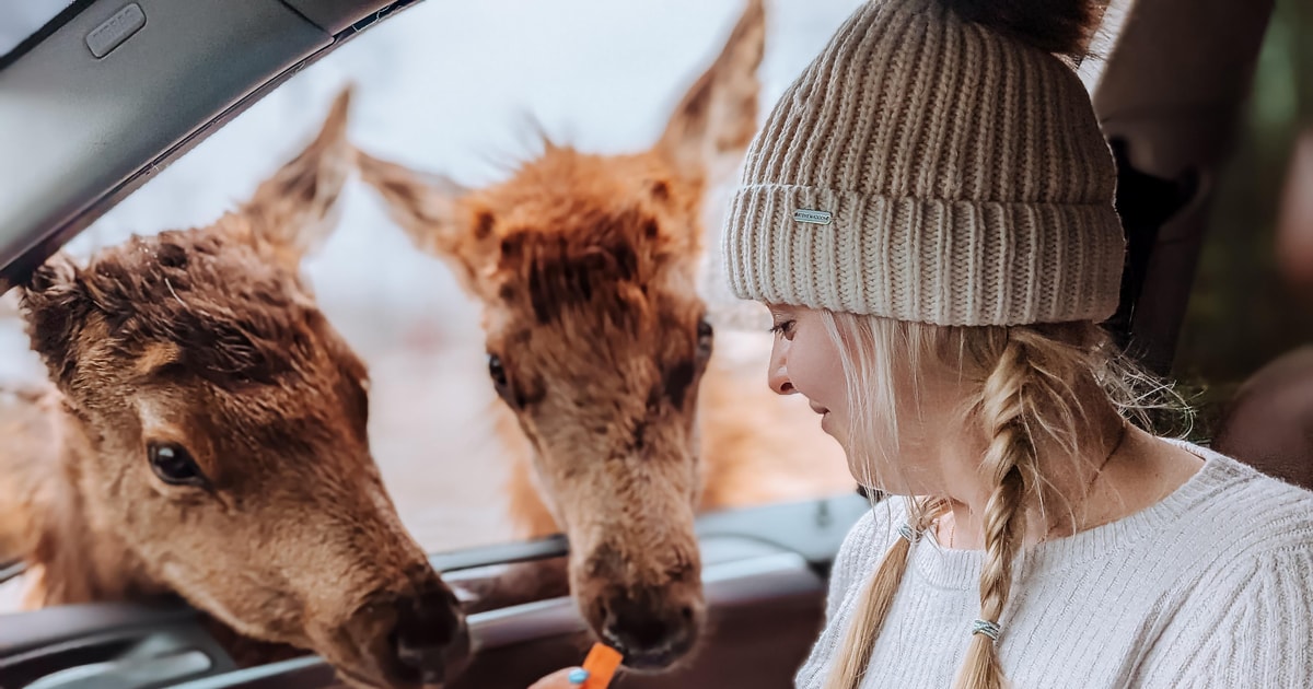 Ottawa: Safari privado de aventura en el Parque Omega | GetYourGuide