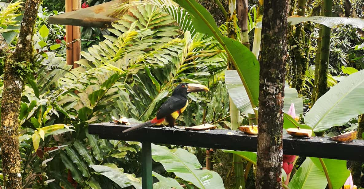 FROM QUITO-Mindo Cloud Forest & Calacali Middle of the world | GetYourGuide