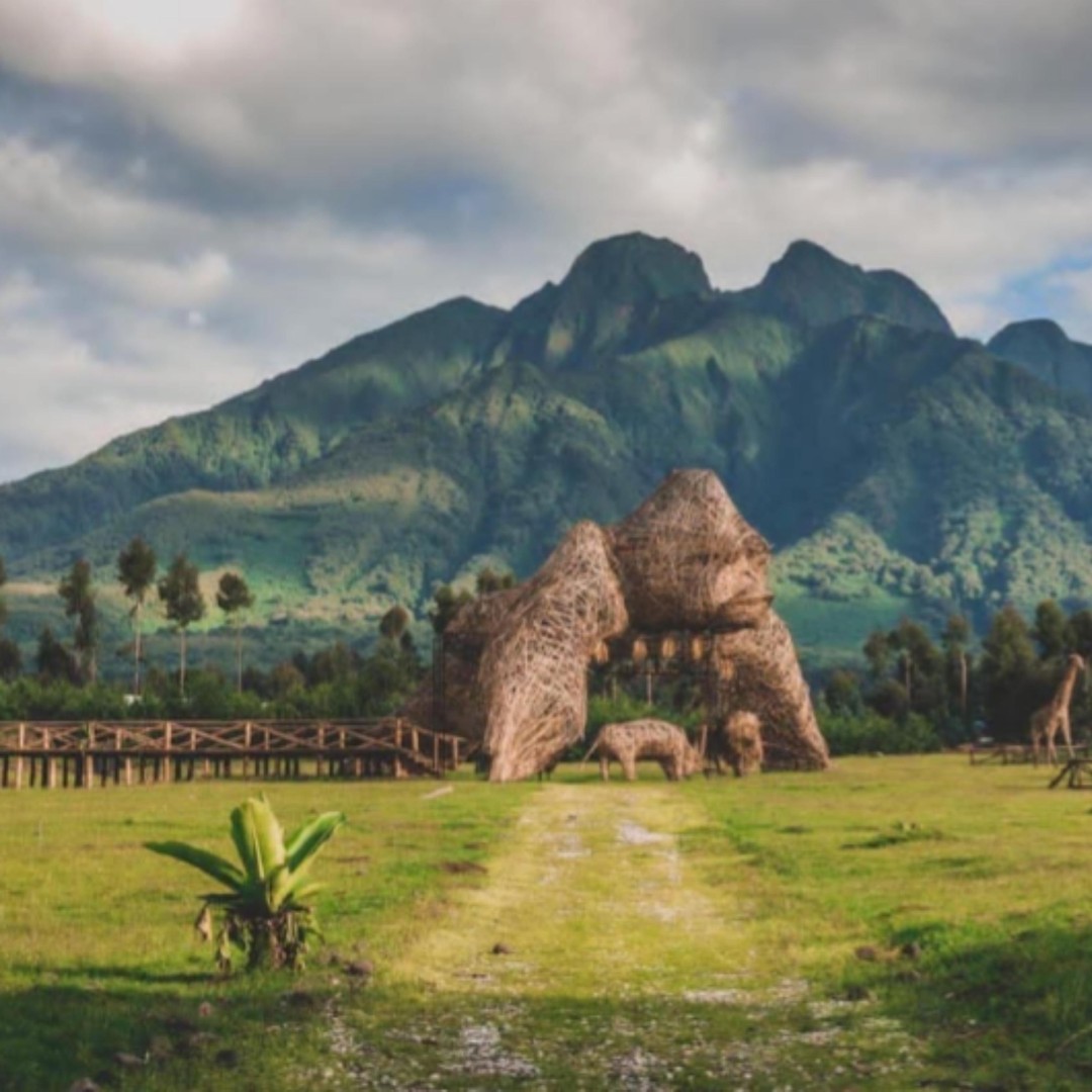 Excursión al Monte Bisoke en el Parque Nacional de los Volcanes ...