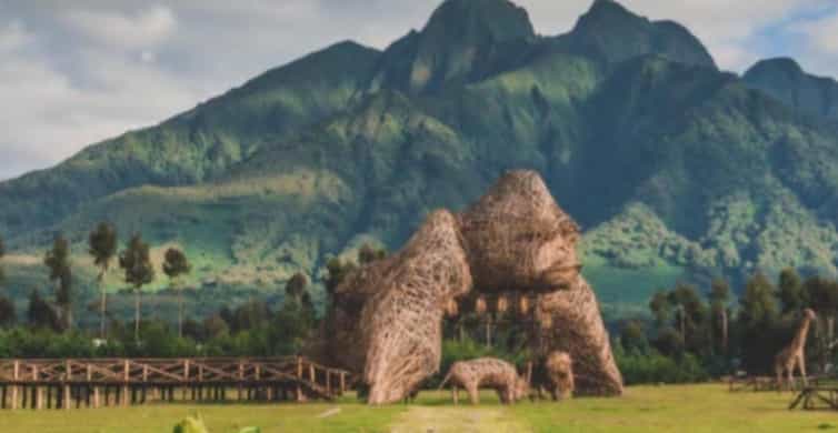 Excursión al Monte Bisoke en el Parque Nacional de los Volcanes ...