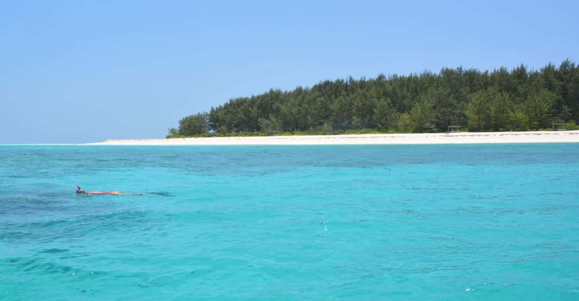 Excursión a la isla de Mnemba | GetYourGuide