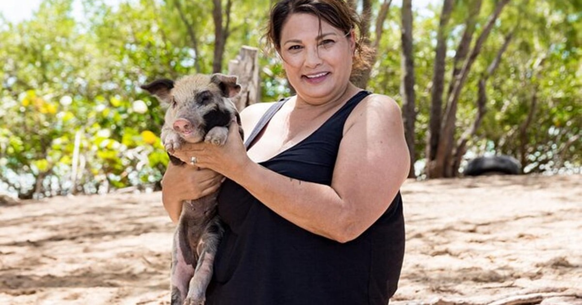 Nada con cerdos famosos en la Isla Rosa | GetYourGuide