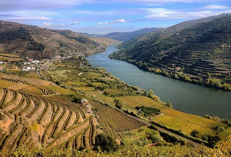 Visite privée de la vallée du Douro, de la cave à vin et déjeuner ...