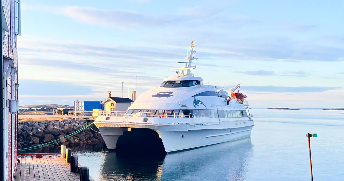 Arctic Express Tromsø-Alta with Whale Safari (one way) | GetYourGuide