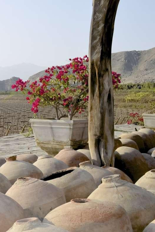 From Ica: City Tour | GetYourGuide