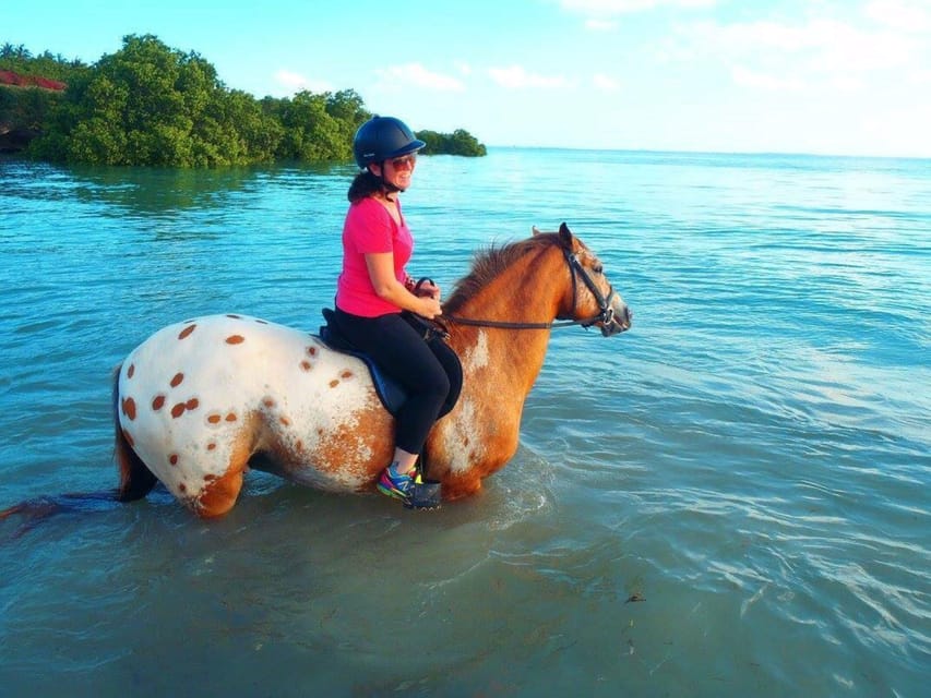 Cooking Class, Spice Tour, Horseback Riding, Emerson Spice | GetYourGuide