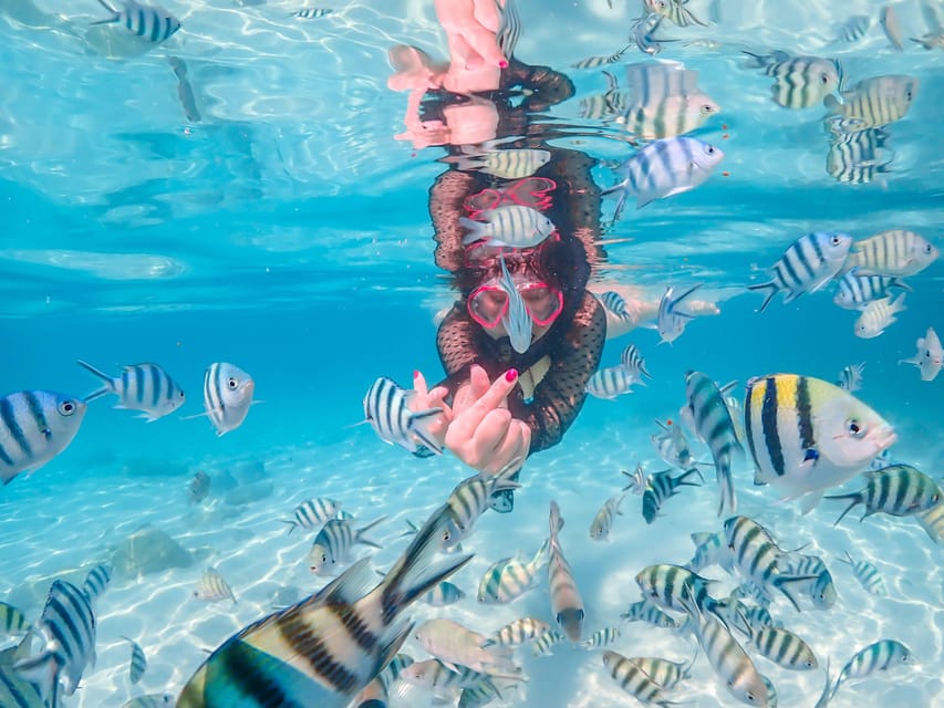 Nemo Island Experience with Drone Photos and Lunch | GetYourGuide