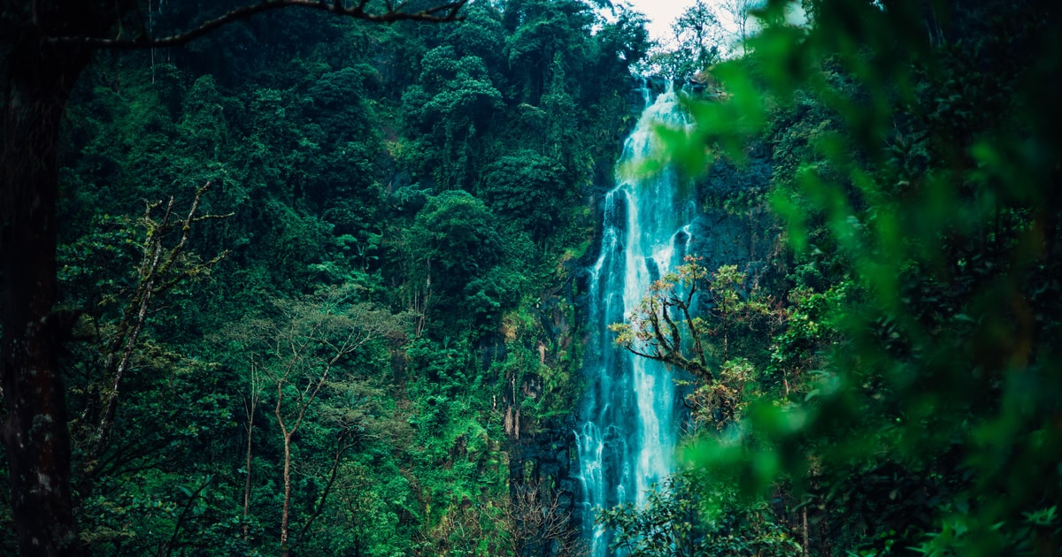 Materuni waterval en koffietour | GetYourGuide
