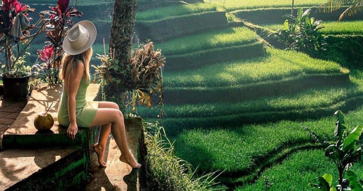 UbudTours: Versteckte Wasserfälle, Reisterrassen und Mongolenwald ...