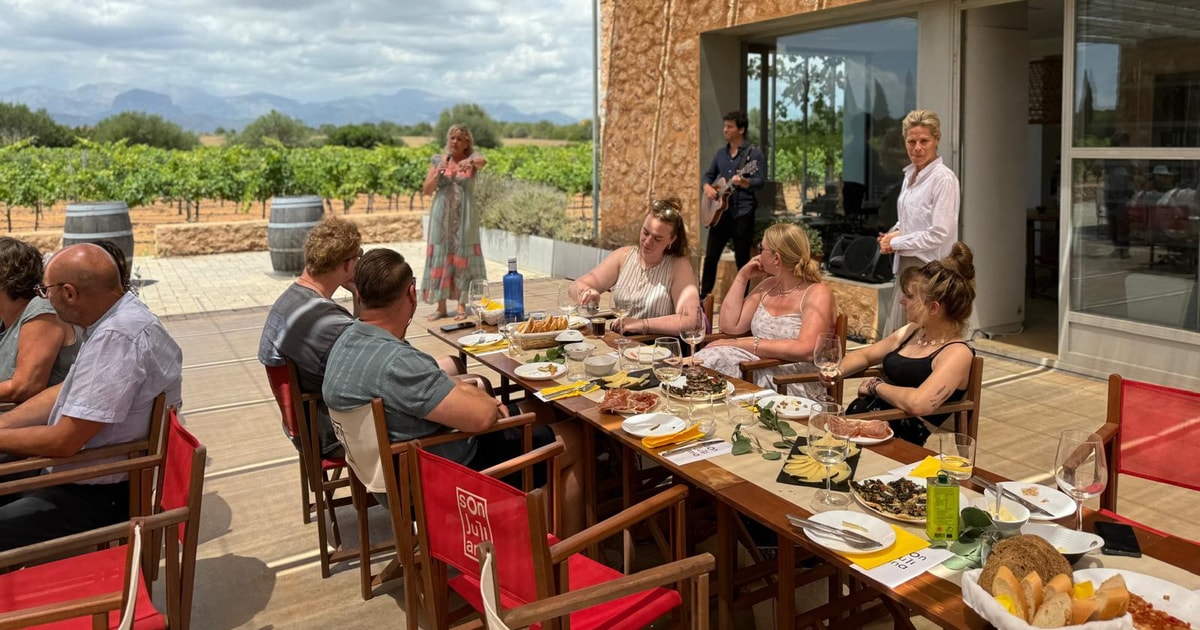 Mallorca: Premium Wine Experience, Tasting and Fine Foods | GetYourGuide