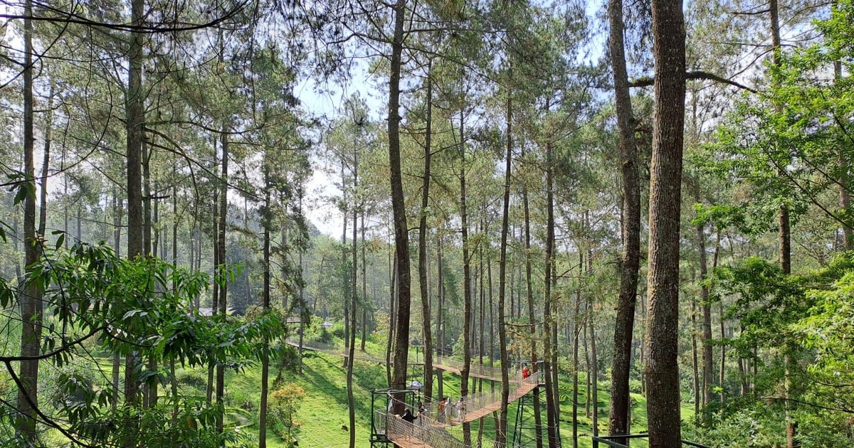 NORTH BANDUNG : A DAY TAILORED TOUR TO LEMBANG | GetYourGuide