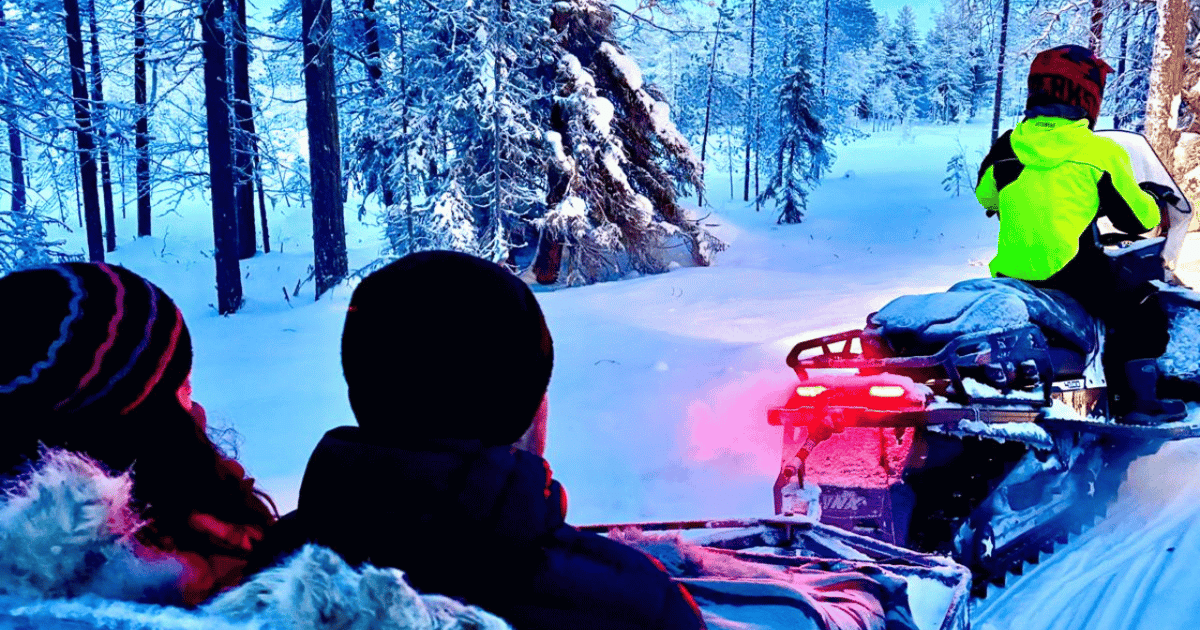 Rovaniemi: Snowmobile Sleigh Ride in Forest Entry Ticket | GetYourGuide