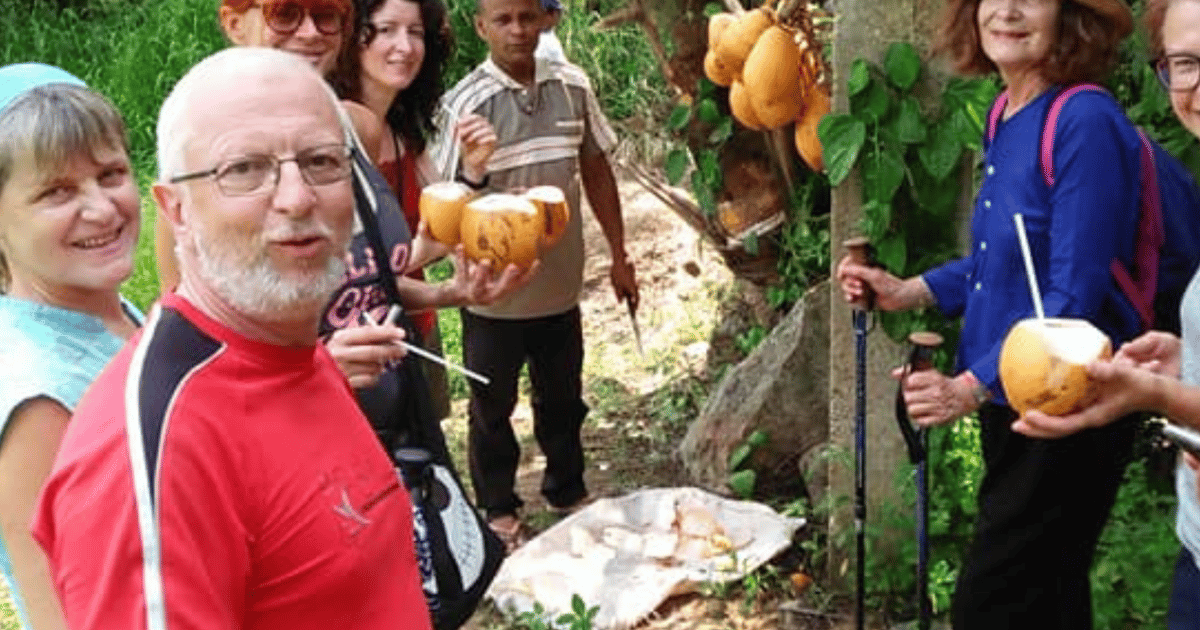 Godakawela Village Tour with Traditional 4 Causes Lunch | GetYourGuide