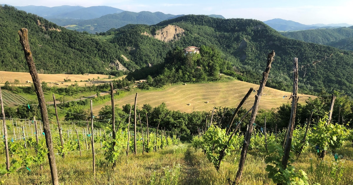 From Milan panoramic wine and food tasting with private car | GetYourGuide