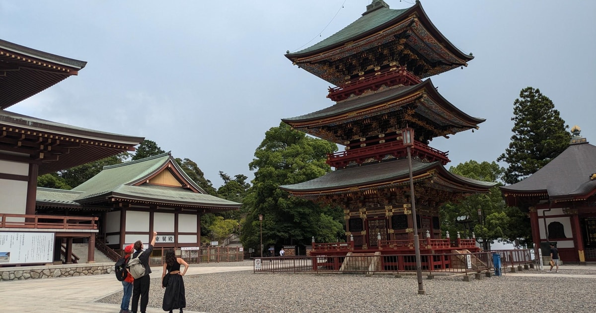 From Narita Airport: Private Layover or Transit Guided Tour | GetYourGuide