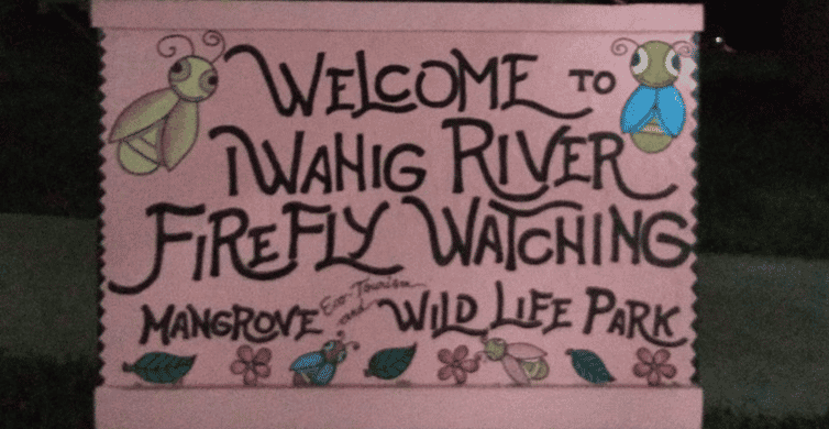 Puerto Princesa Firefly Watching (Joiners Tour) | GetYourGuide