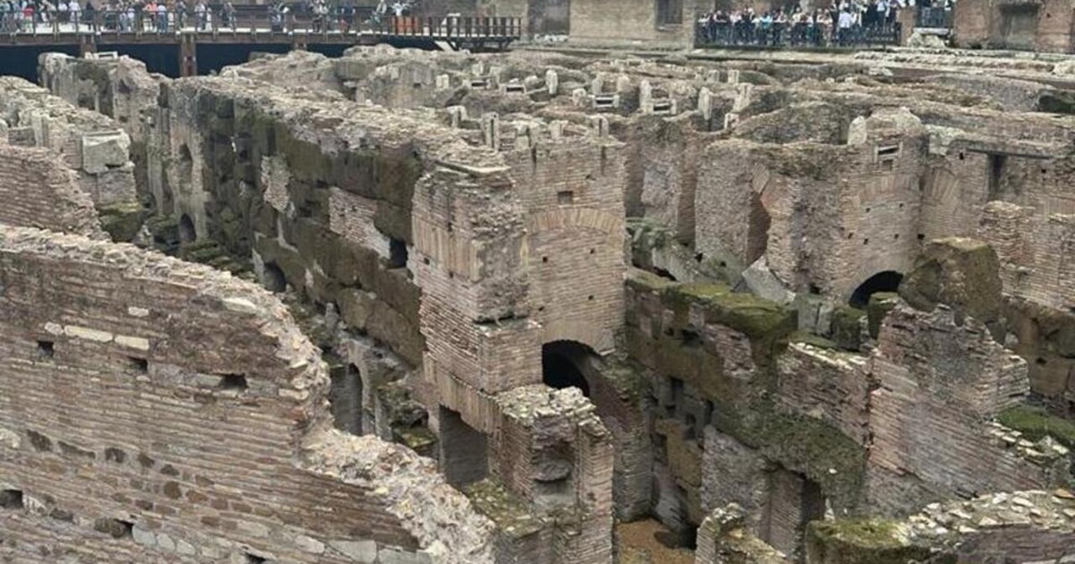 Roma: Piso da Arena do Coliseu e excursão à Roma Antiga | GetYourGuide