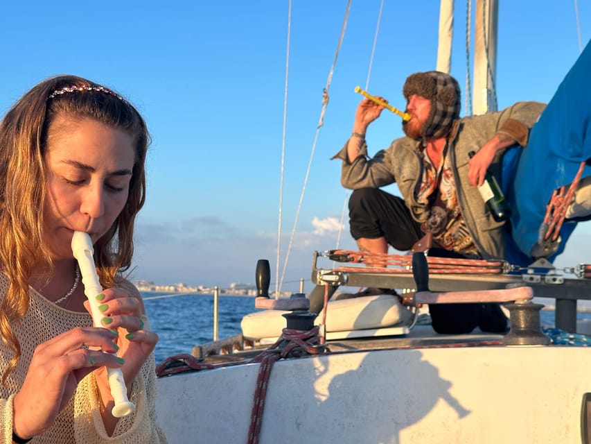 Dolphin Calling Wildlife Tour | GetYourGuide