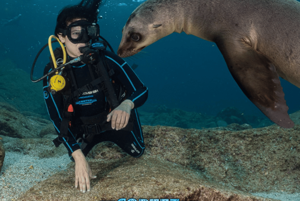 From La Paz: Scuba Diving 2 Tank Dive/3 Tank Dive | GetYourGuide